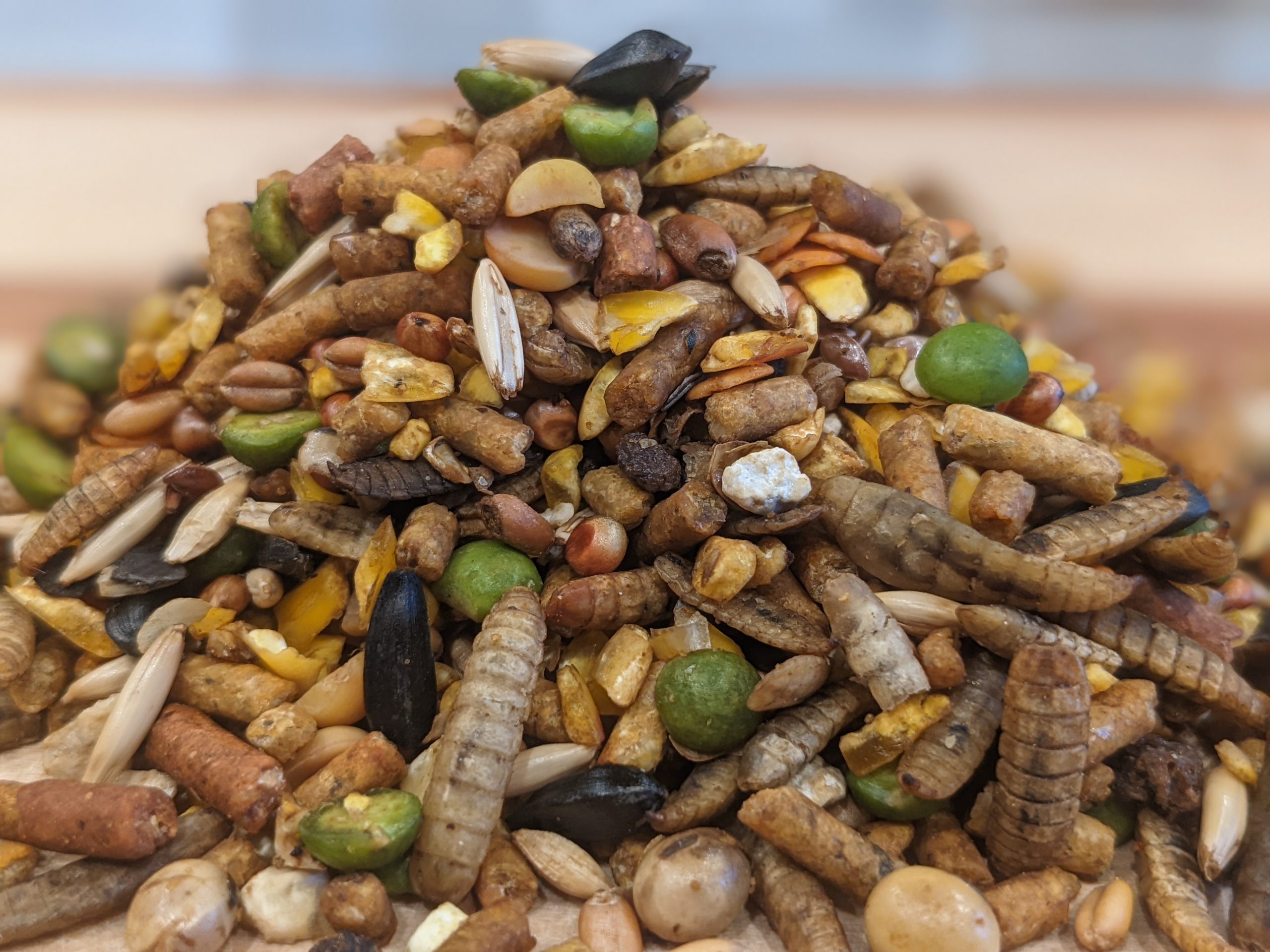 Our Custom Scratch Mix - Koops Coops